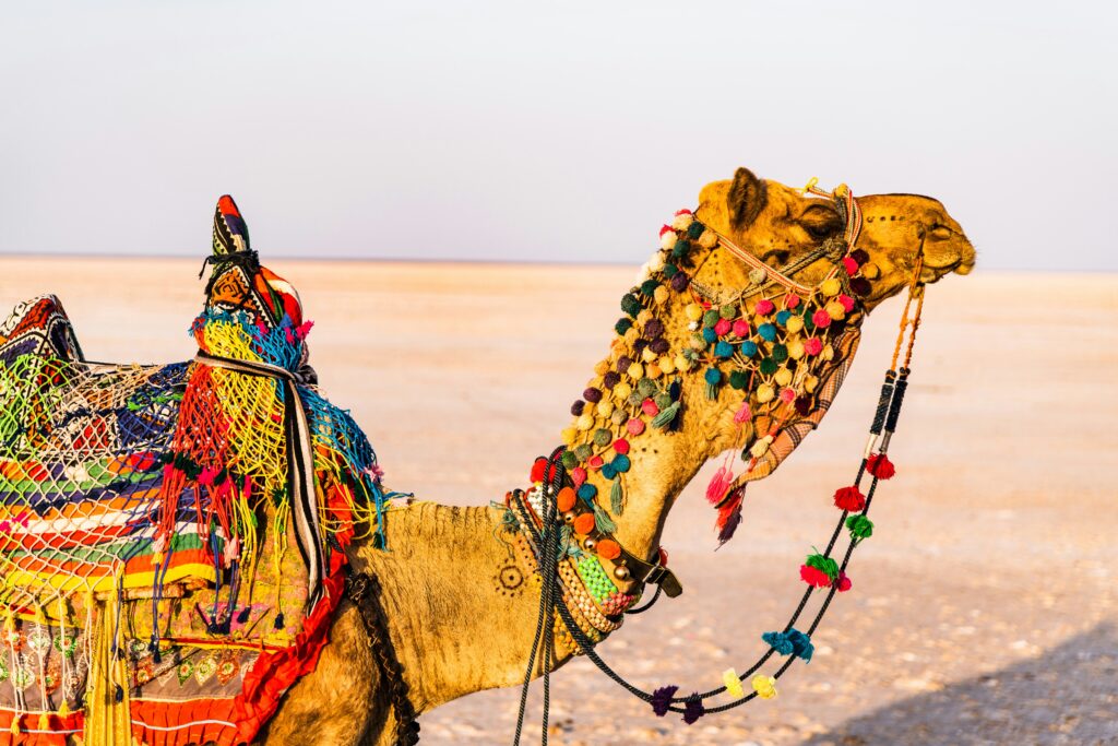 Gujarat Madhya Pradesh Tour (10 Nights / 11 Days) – Om Sai Ram Tours